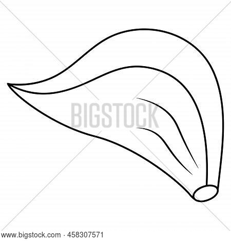 Garlic. Side View Vector & Photo (Free Trial) | Bigstock
