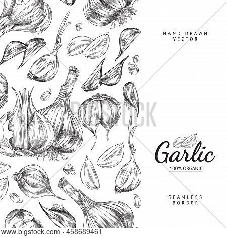 Organic Garlic Poster Vector & Photo (Free Trial) | Bigstock