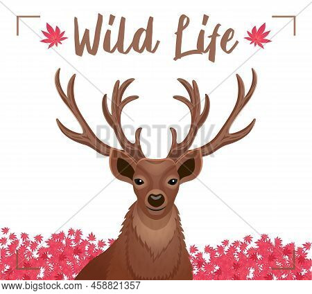 Pink Deer Antler Clip Art