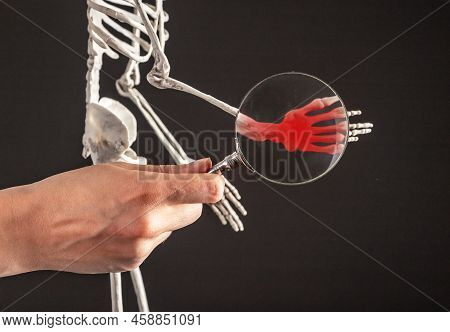 Hand Magnifying Glass Image & Photo (Free Trial) | Bigstock