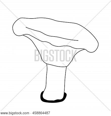 Mushroom Line Art Vector & Photo (Free Trial) | Bigstock