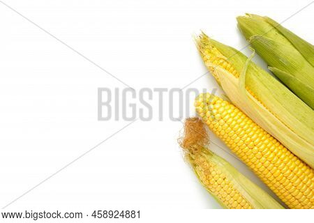 Corn Background Design
