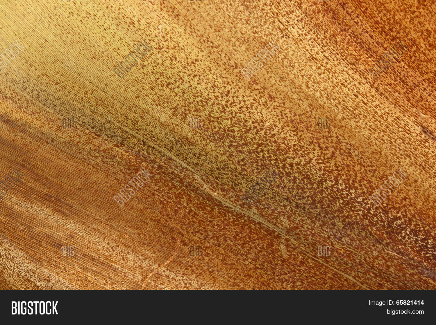 Base Fallen Palm Frond Image & Photo (Free Trial) | Bigstock