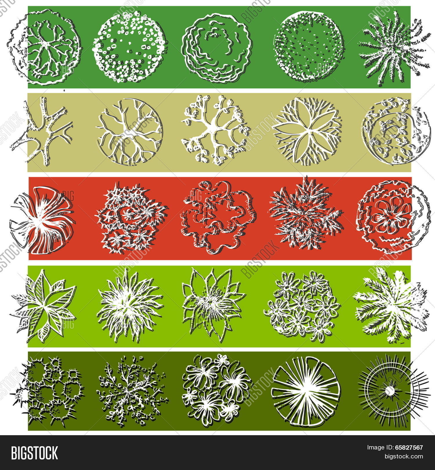 Set Treetop Symbols, Vector & Photo (Free Trial) | Bigstock