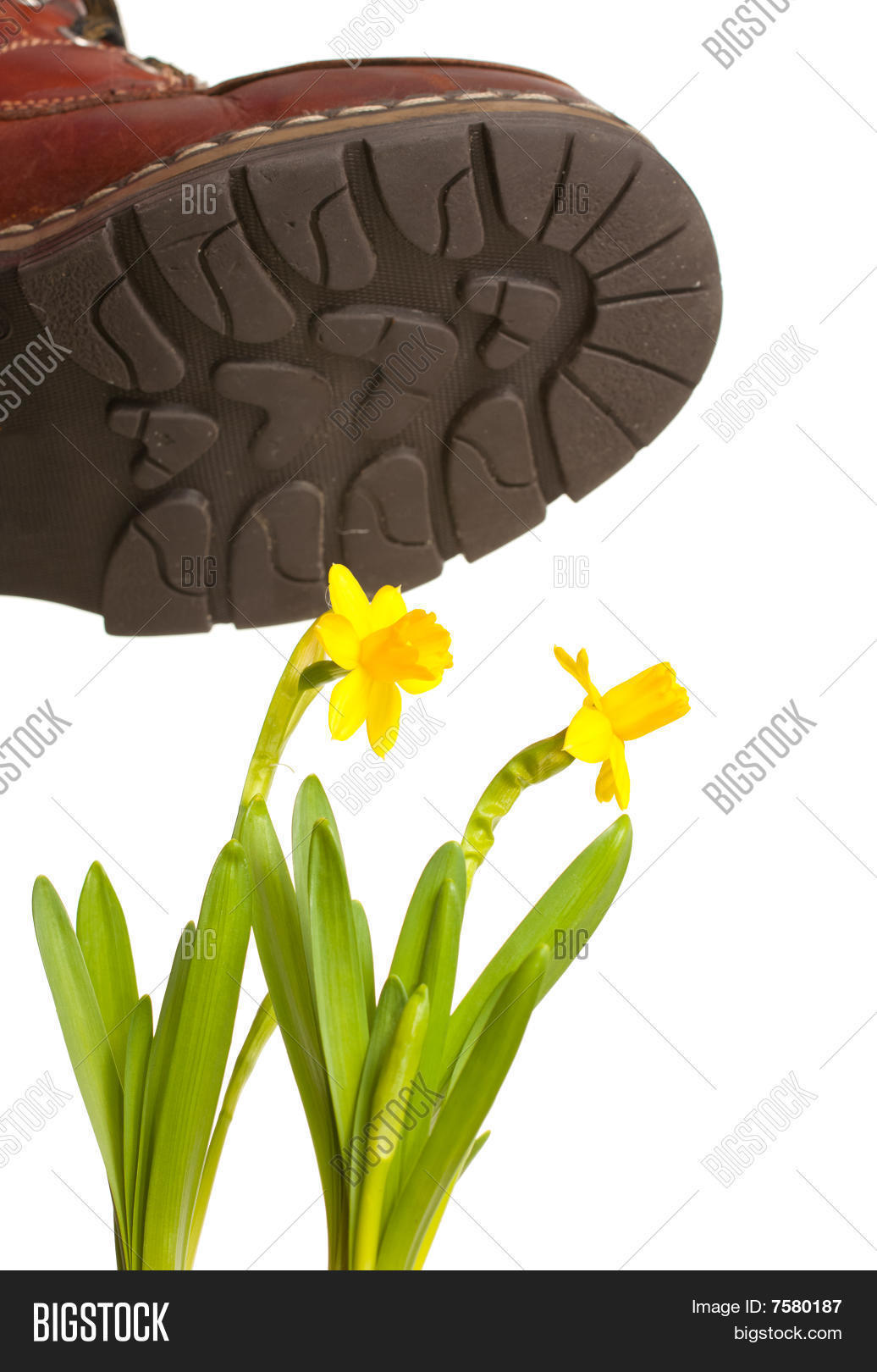 Stomping On Yellow Image & Photo (Free Trial) | Bigstock