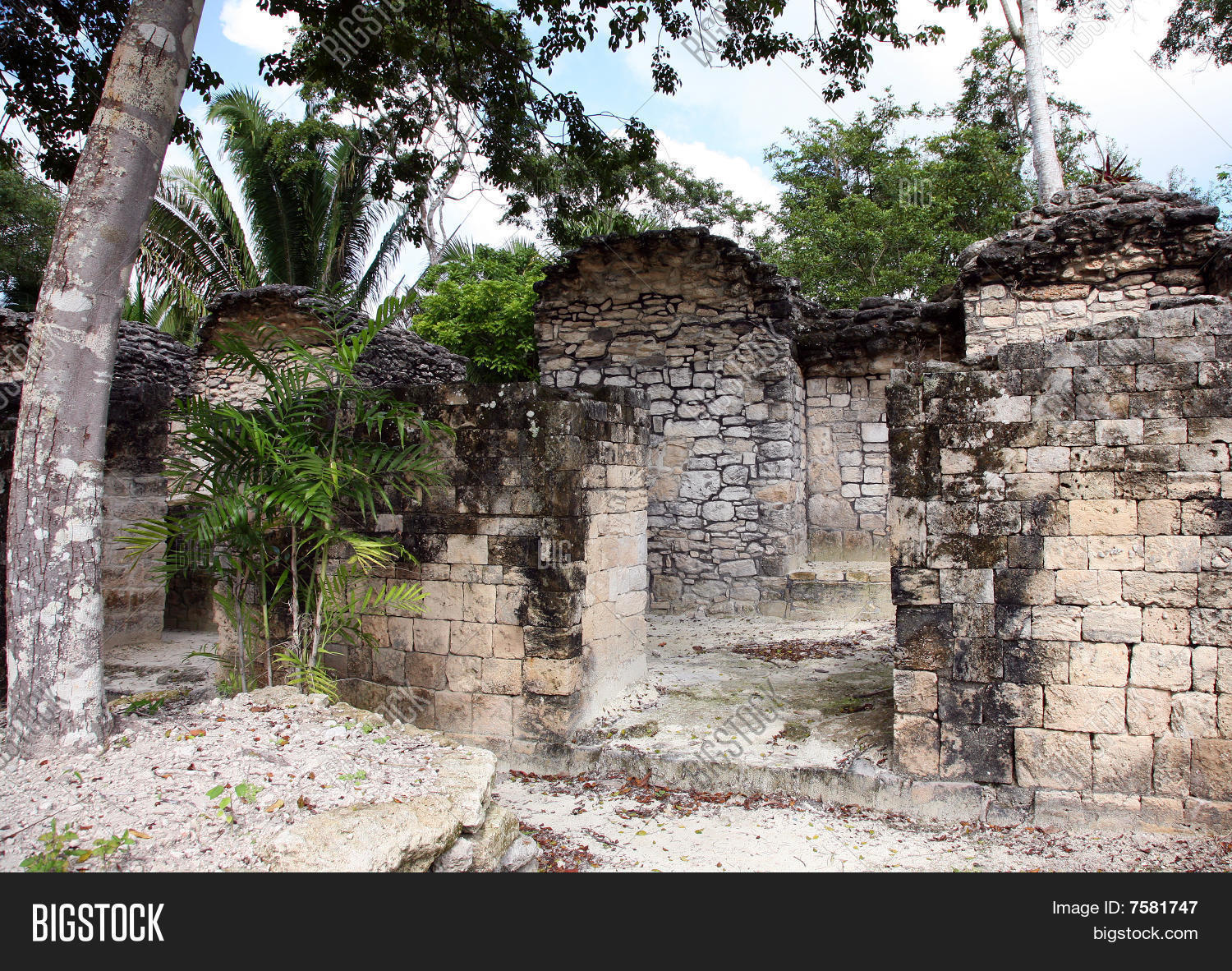 Ancient Mayan Temple Image & Photo (Free Trial) | Bigstock