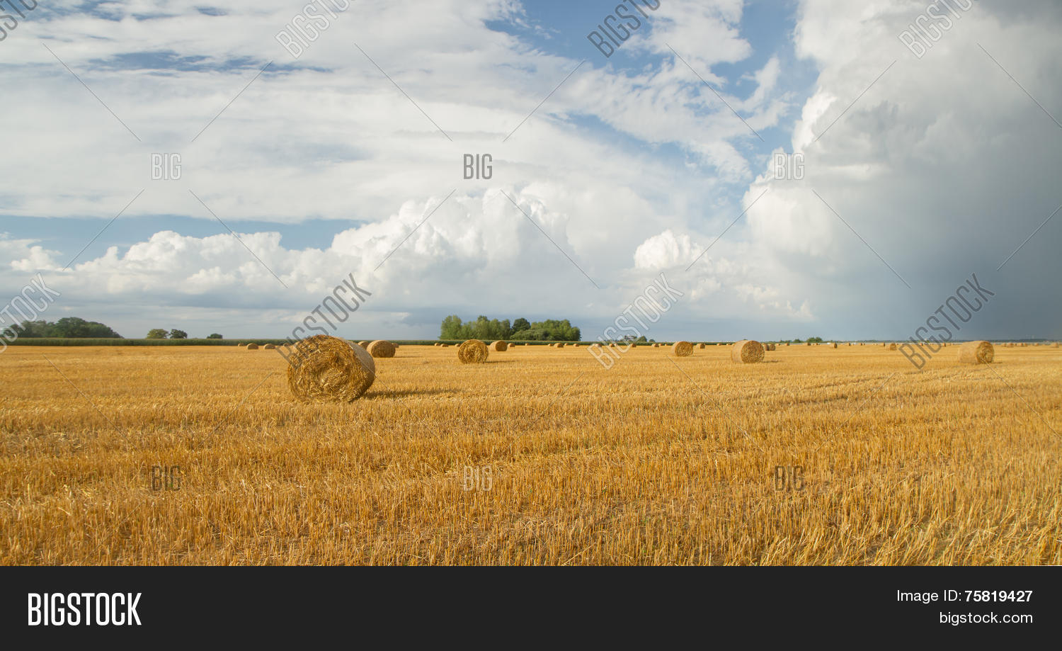 Hay Rolls Blue Sky Image & Photo (Free Trial) | Bigstock