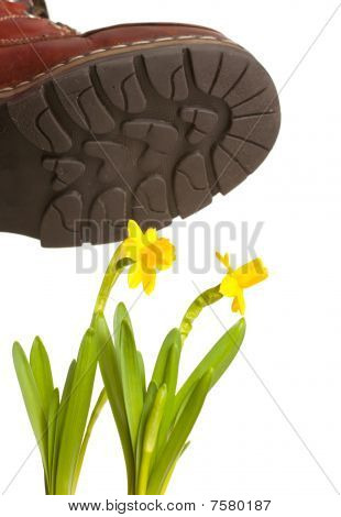 Stomping On Yellow Image & Photo (Free Trial) | Bigstock