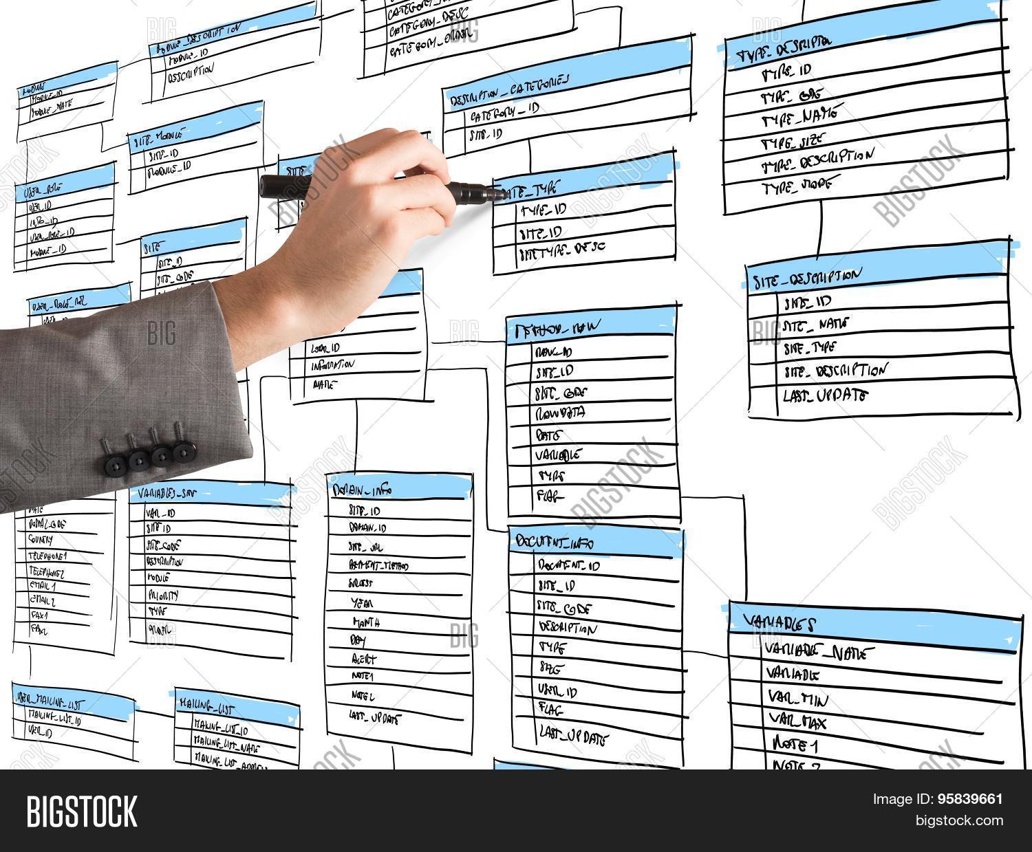 Organize Database Image & Photo (Free Trial) | Bigstock