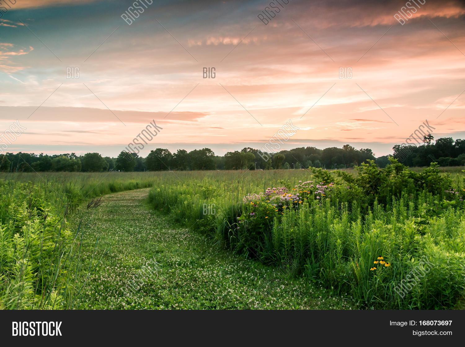 Trail Through Prairie Image & Photo (Free Trial) | Bigstock
