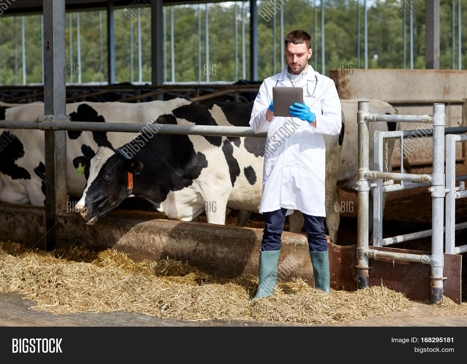 Agriculture Industry, Image & Photo (Free Trial) | Bigstock
