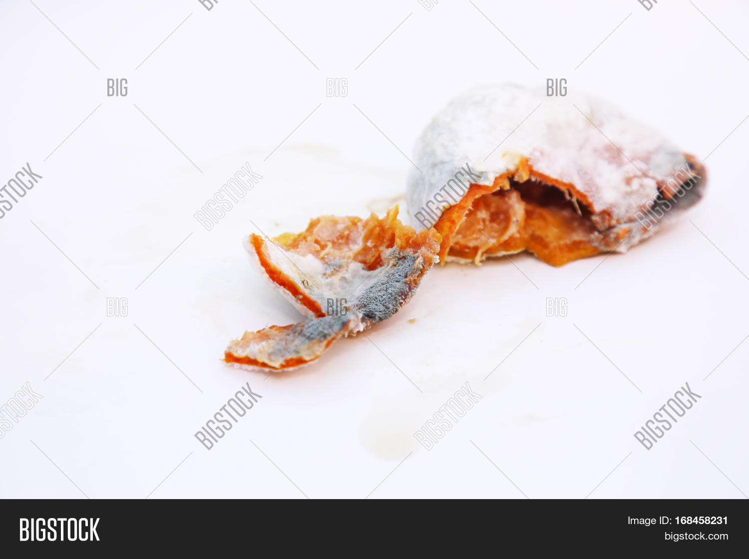 Orange Decomposition Image & Photo (Free Trial) | Bigstock