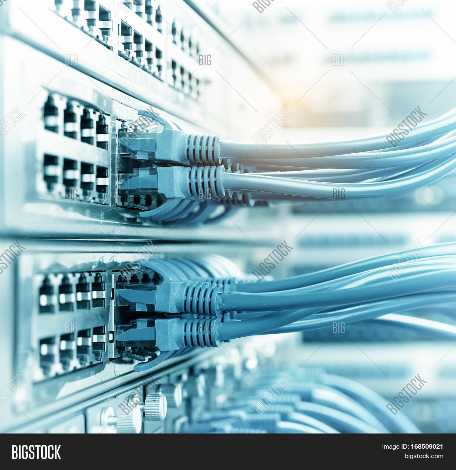 Ethernet Cable On Image & Photo (Free Trial) | Bigstock