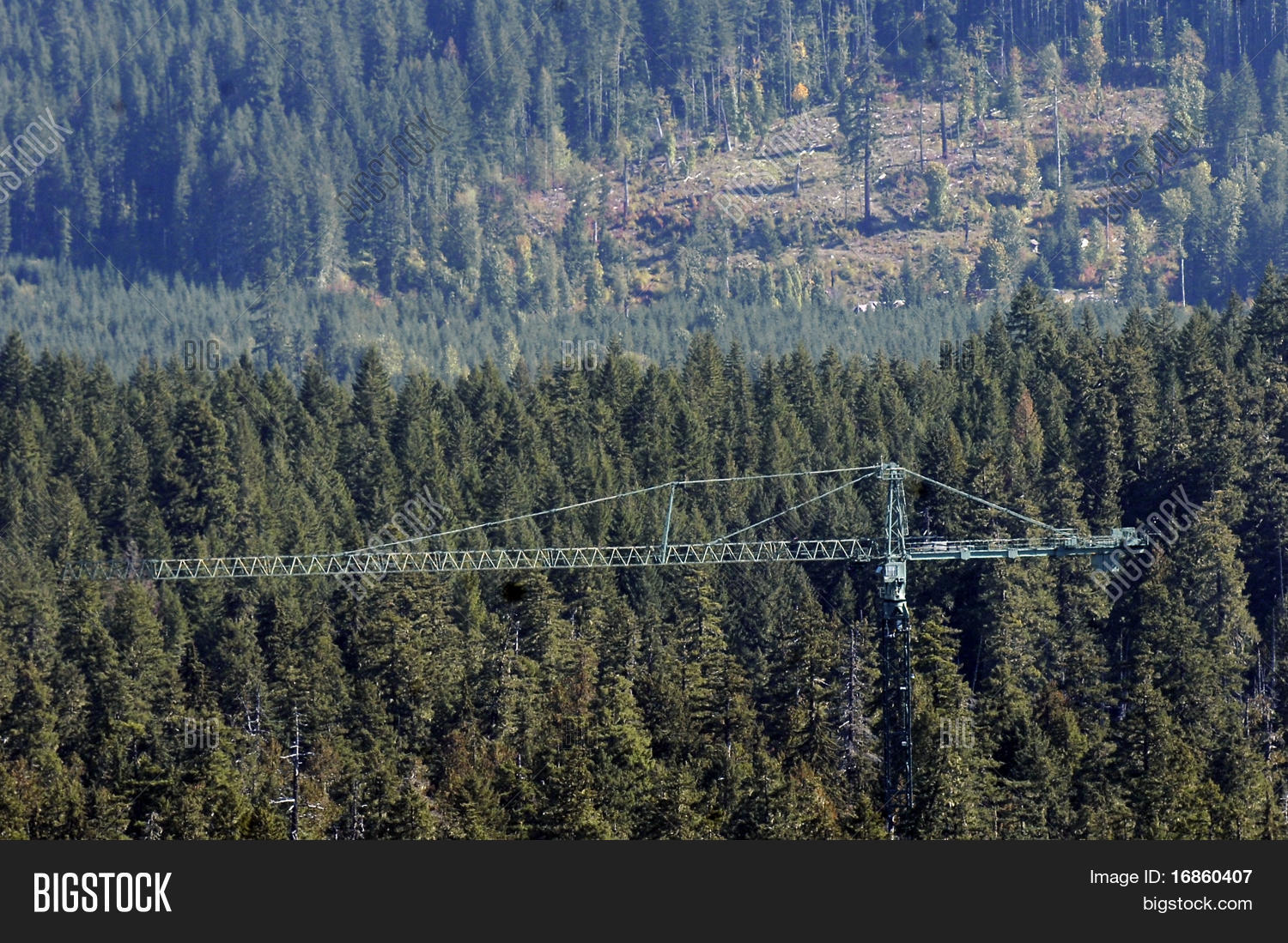 Canopy Crane Image & Photo (Free Trial) | Bigstock