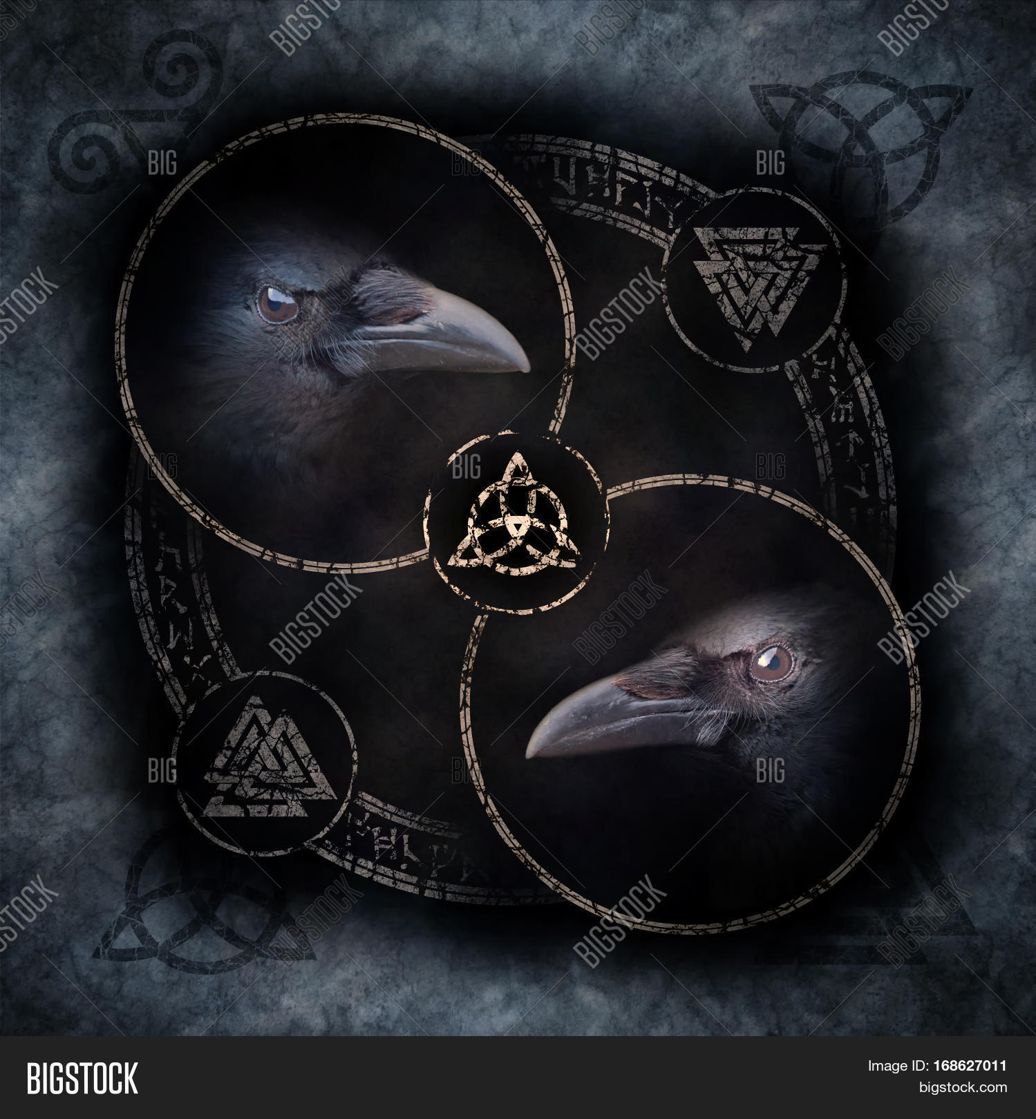 Celtic Crow Circle Two Image & Photo (Free Trial) | Bigstock