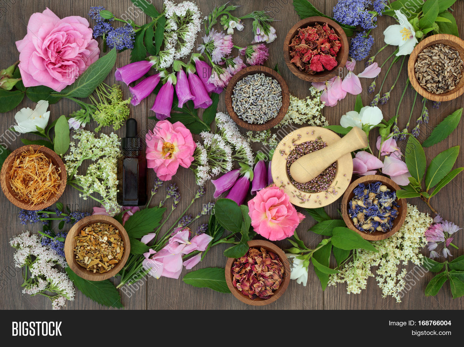 Naturopathic Flower Image & Photo (Free Trial) | Bigstock