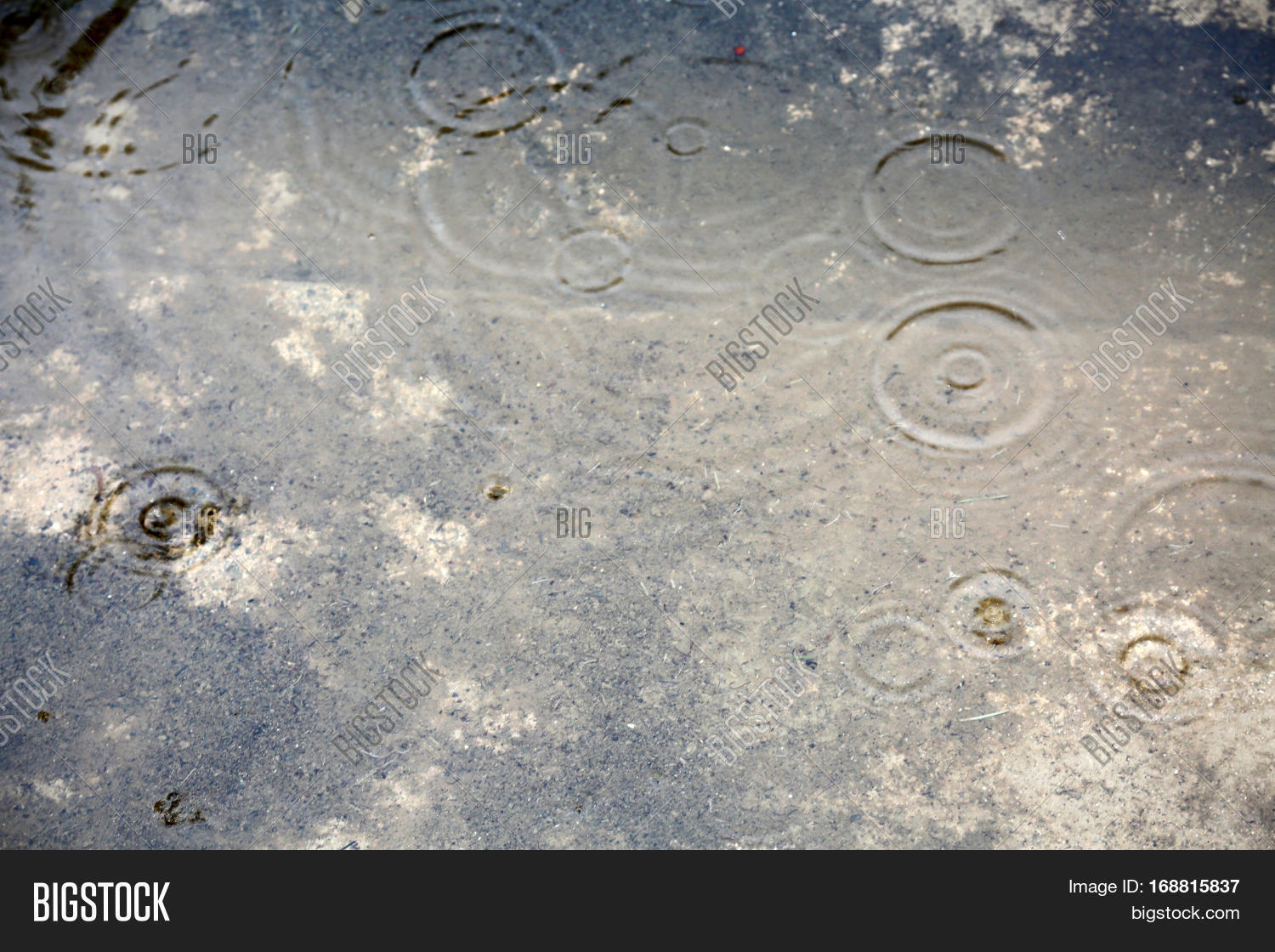 Rare Record Rain Los Image & Photo (Free Trial) | Bigstock