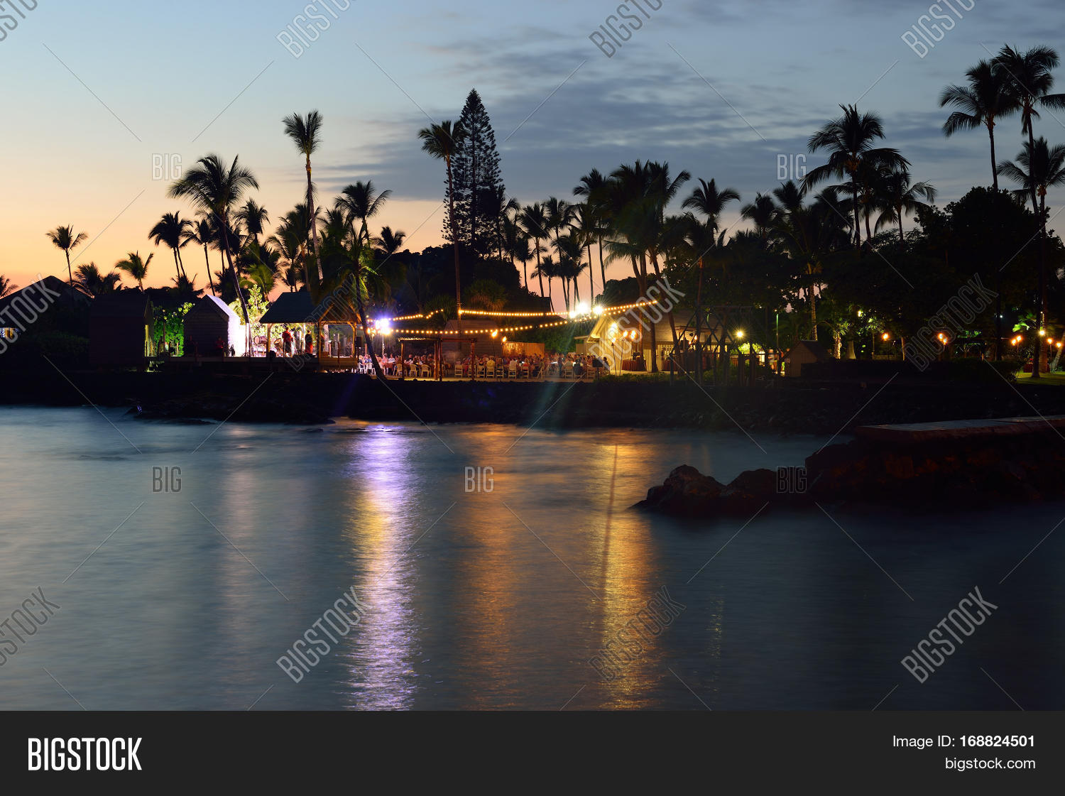 Beach Party Luau Image & Photo (Free Trial) | Bigstock