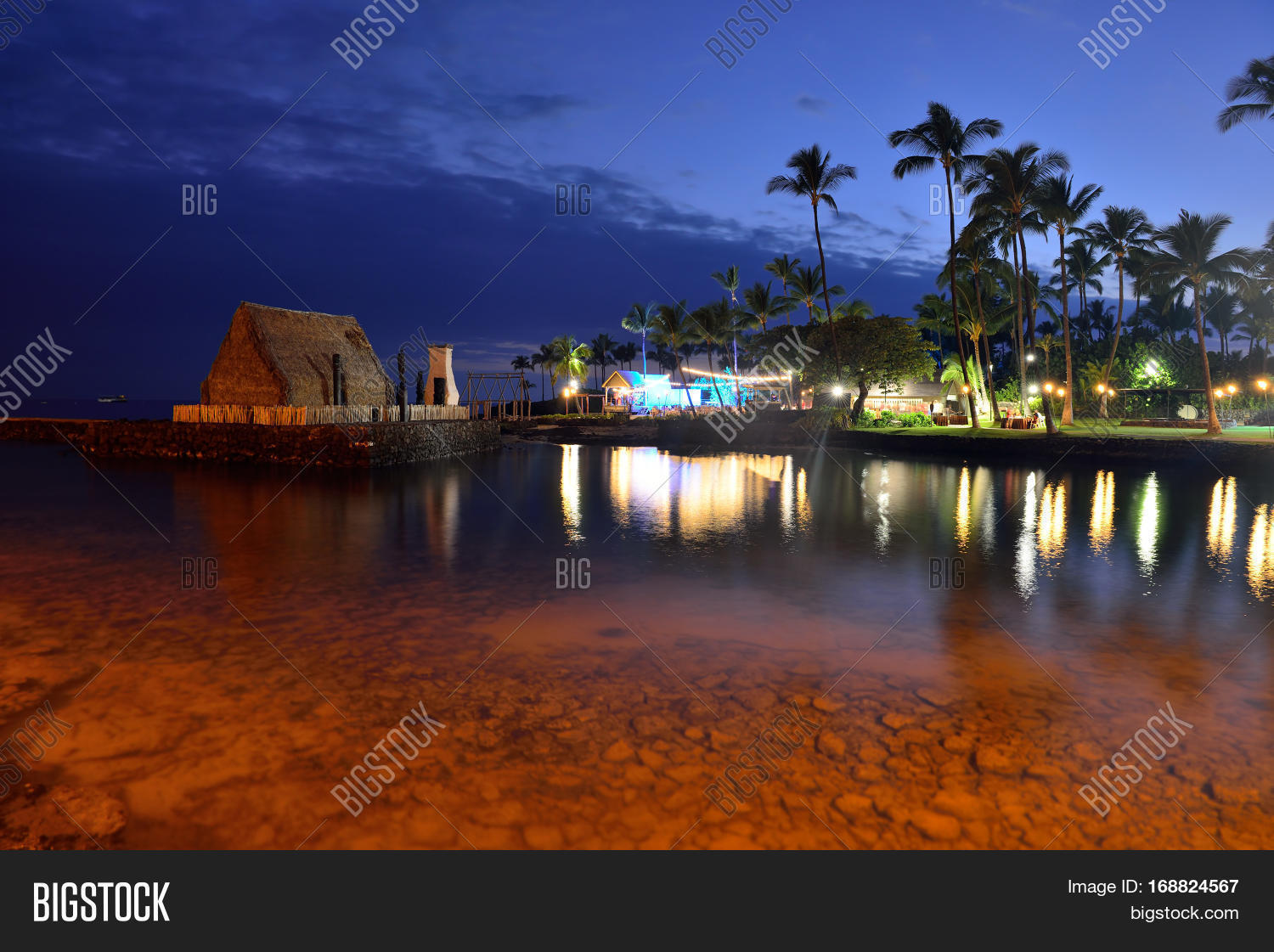 Beach Party Luau Image & Photo (Free Trial) | Bigstock