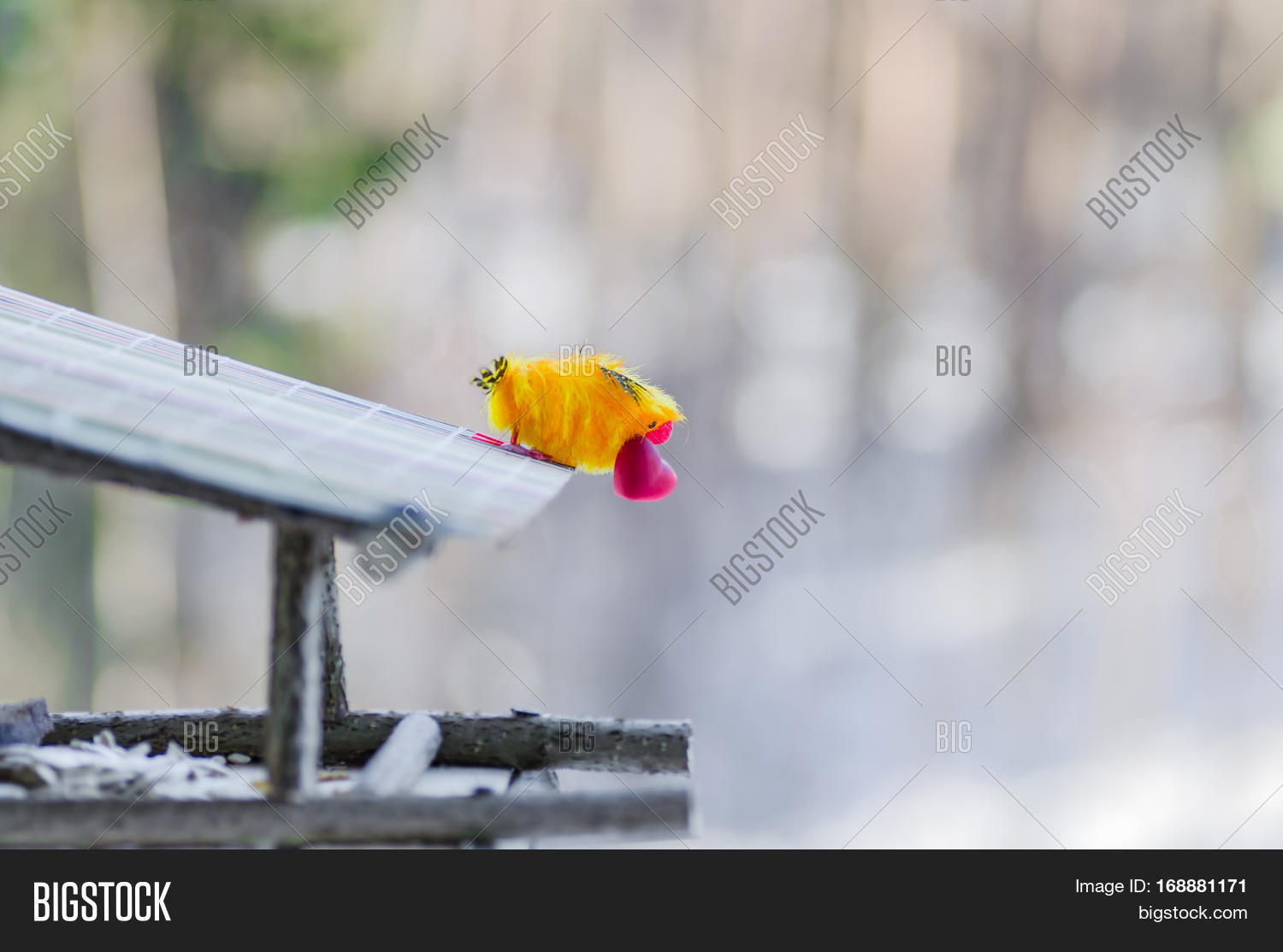 Bird Red Heart Beak Image & Photo (Free Trial) | Bigstock