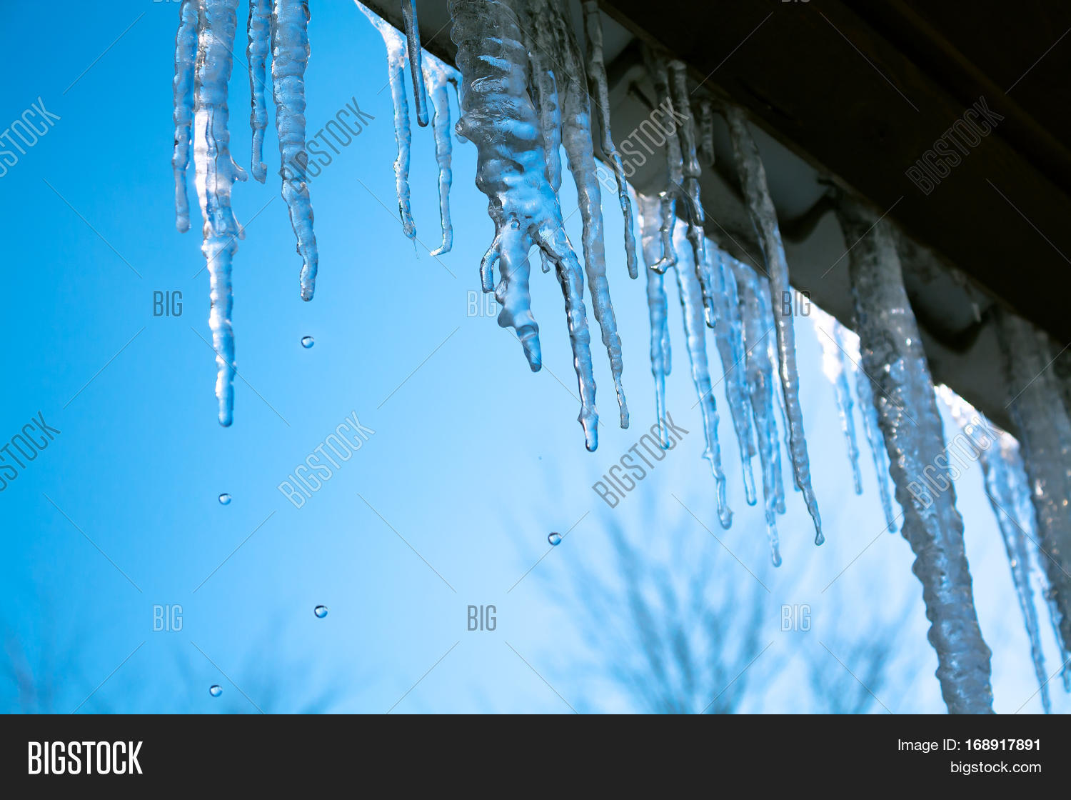 Beautiful Icicles Image & Photo (Free Trial) | Bigstock