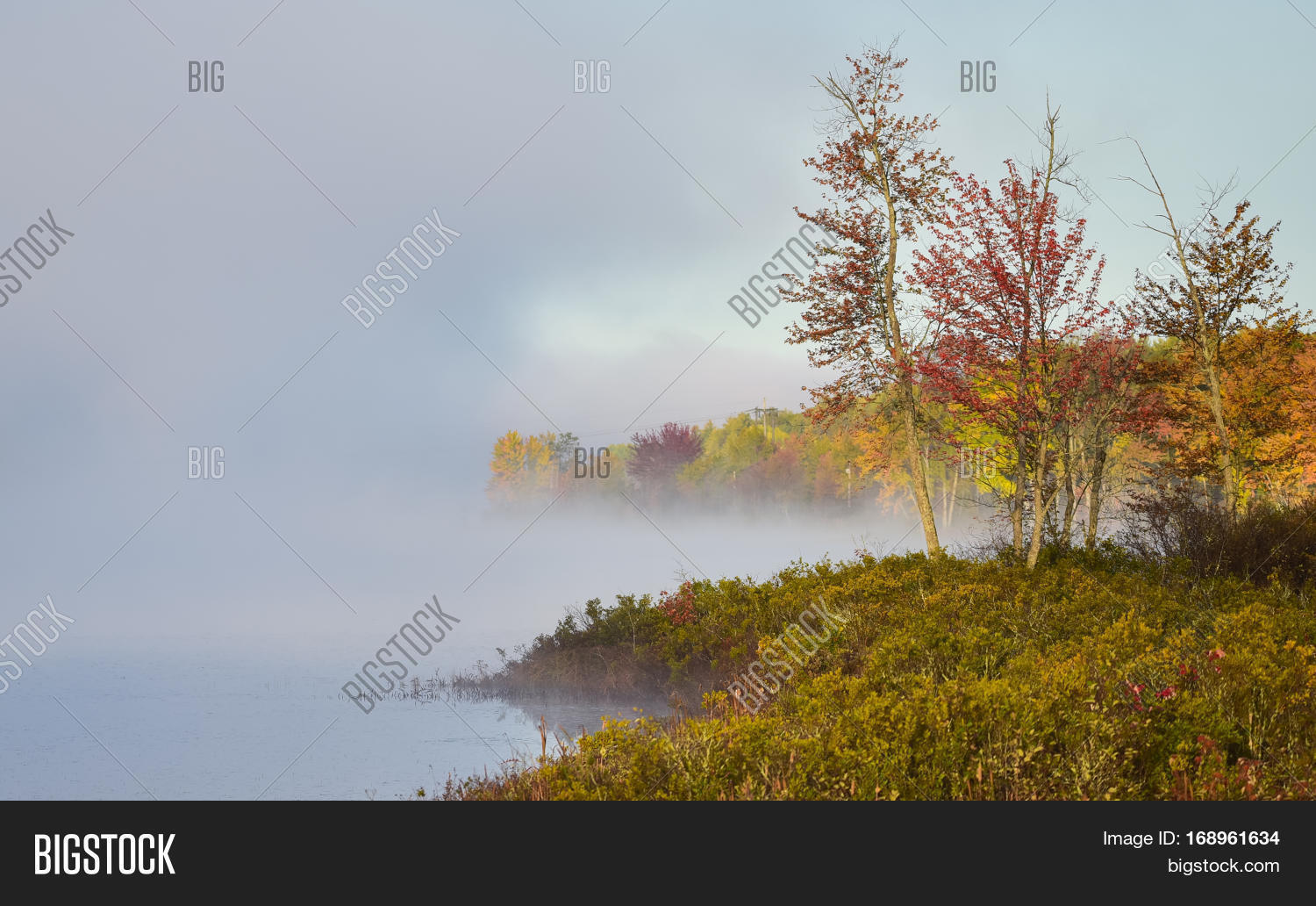 Late-summer, Early- Image & Photo (Free Trial) | Bigstock
