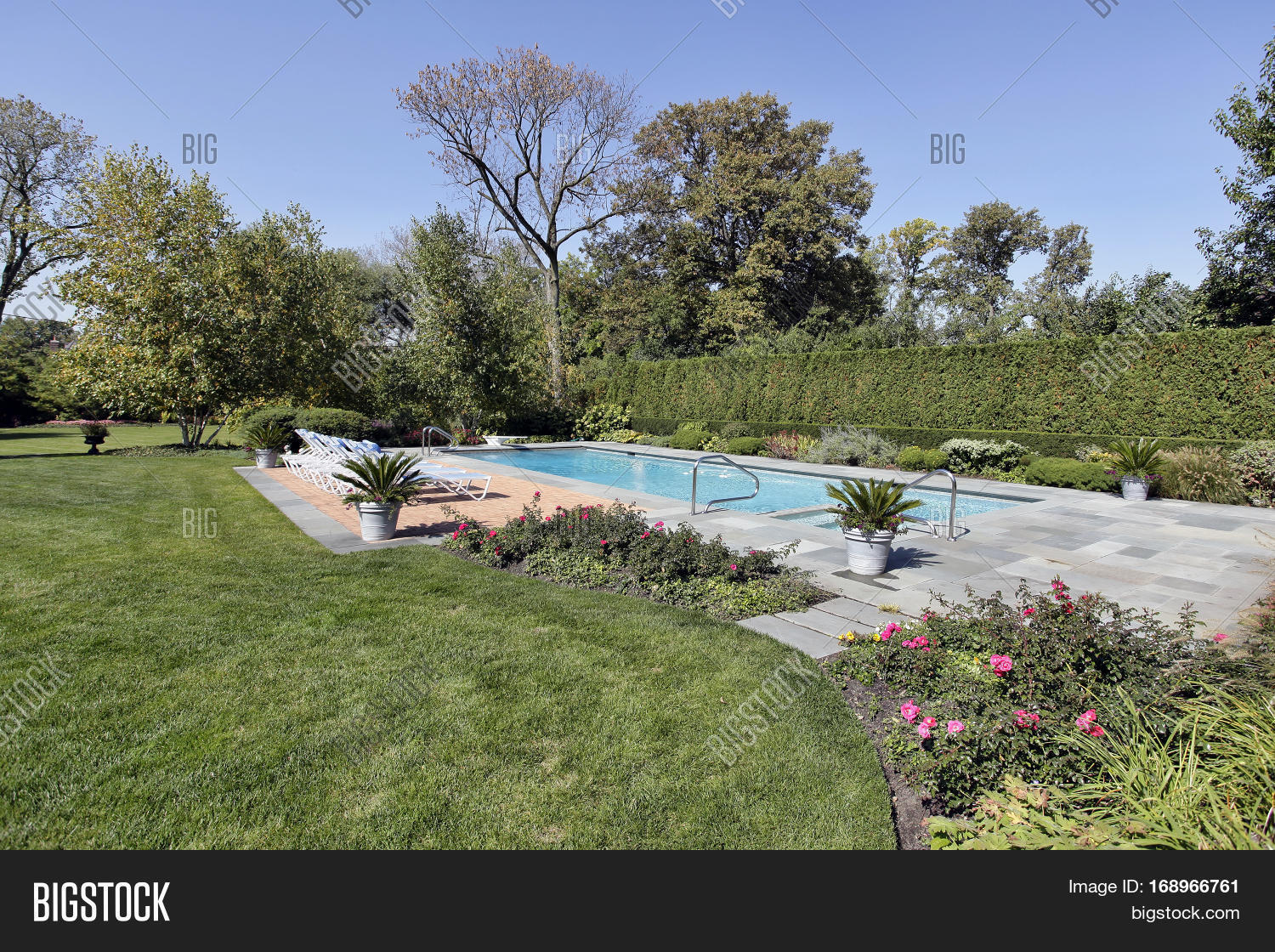 Swimming Pool Back Image & Photo (Free Trial) | Bigstock