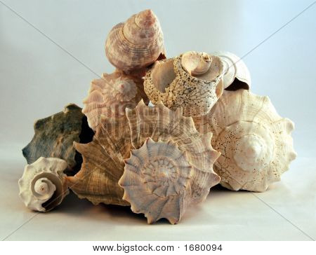 Images, Illustrations & Vectors (Free) - Bigstock