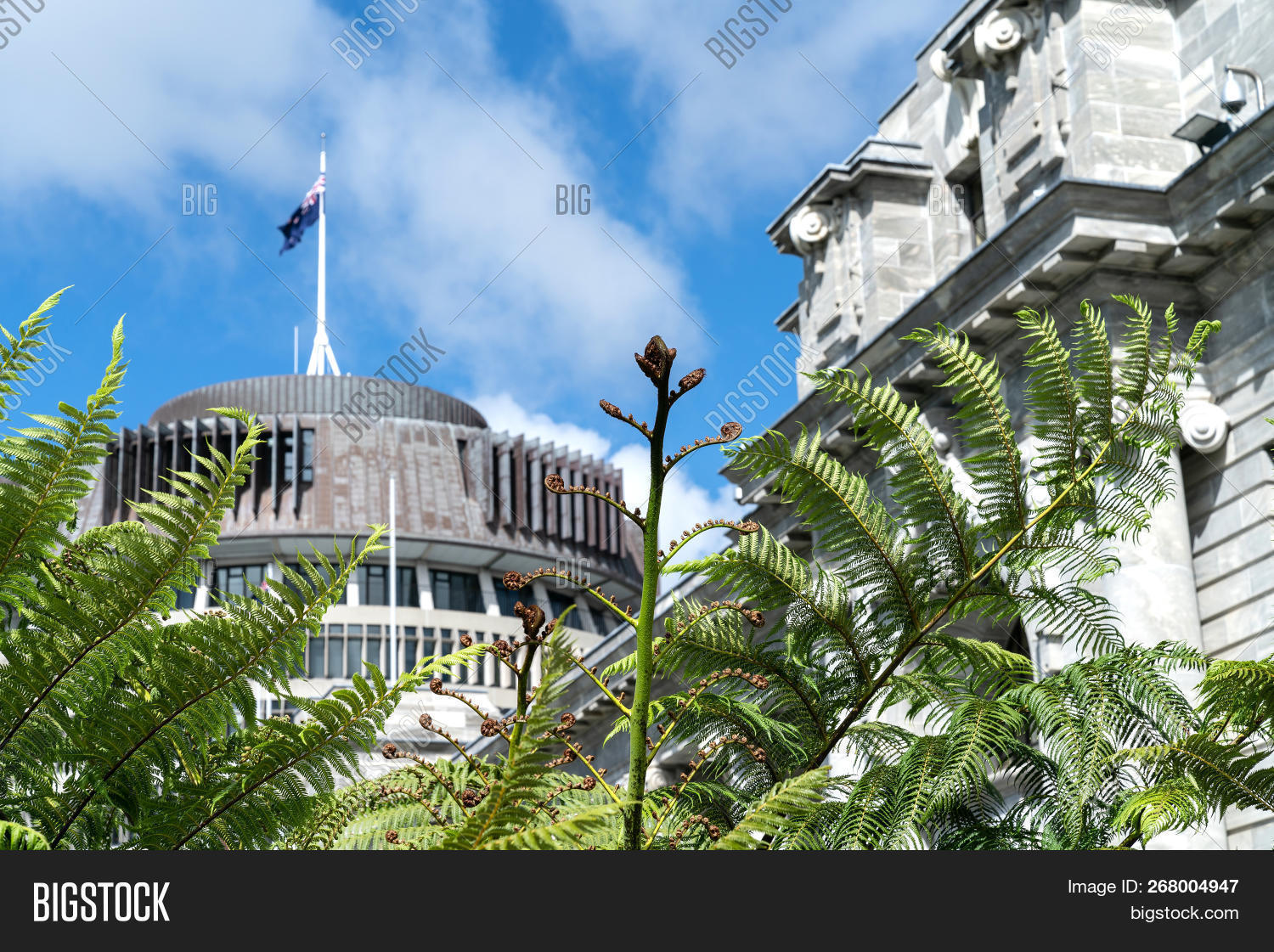 New Zealand Government Image & Photo (Free Trial) | Bigstock