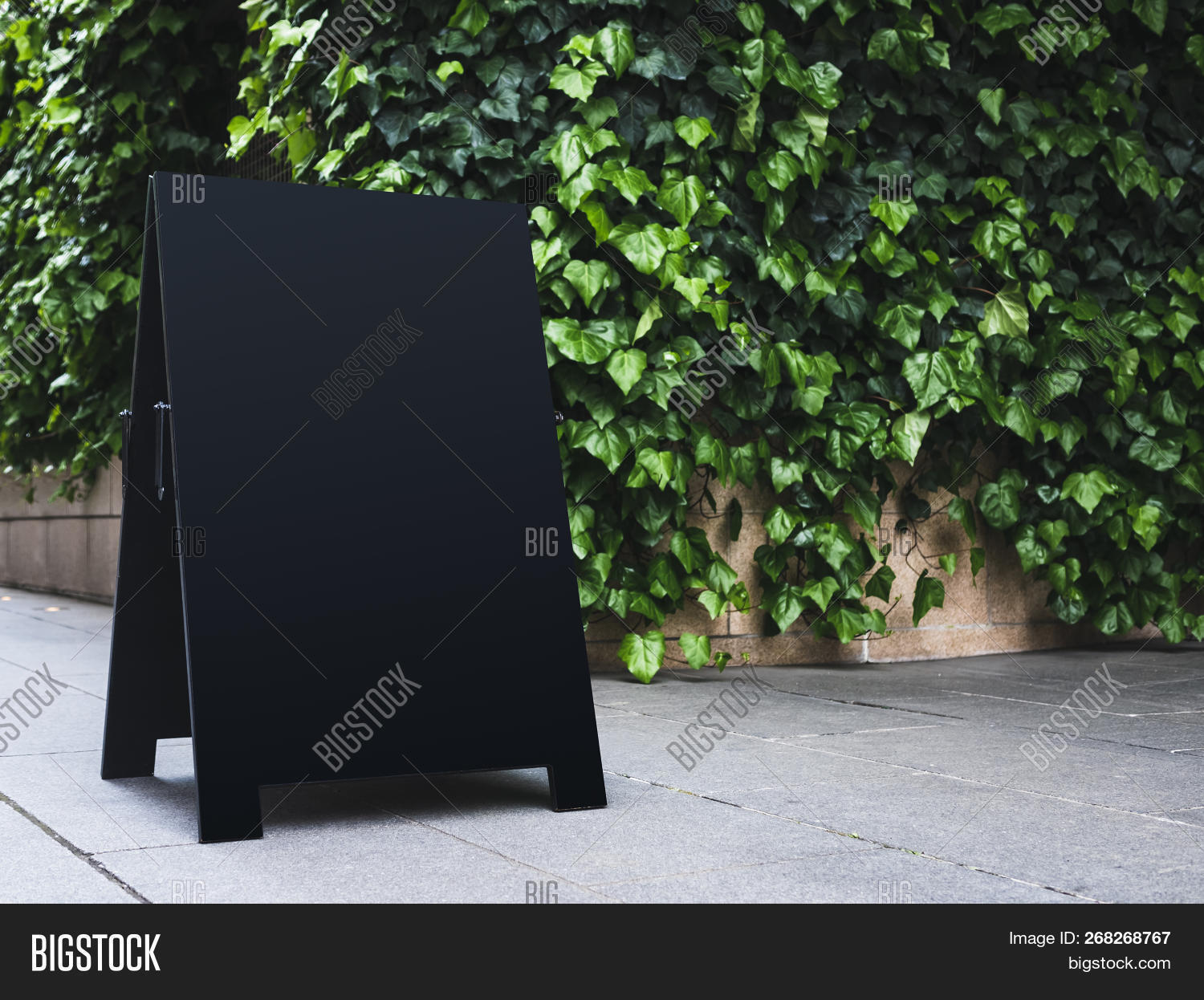 Blank Board Stand Mock Image & Photo (Free Trial) | Bigstock
