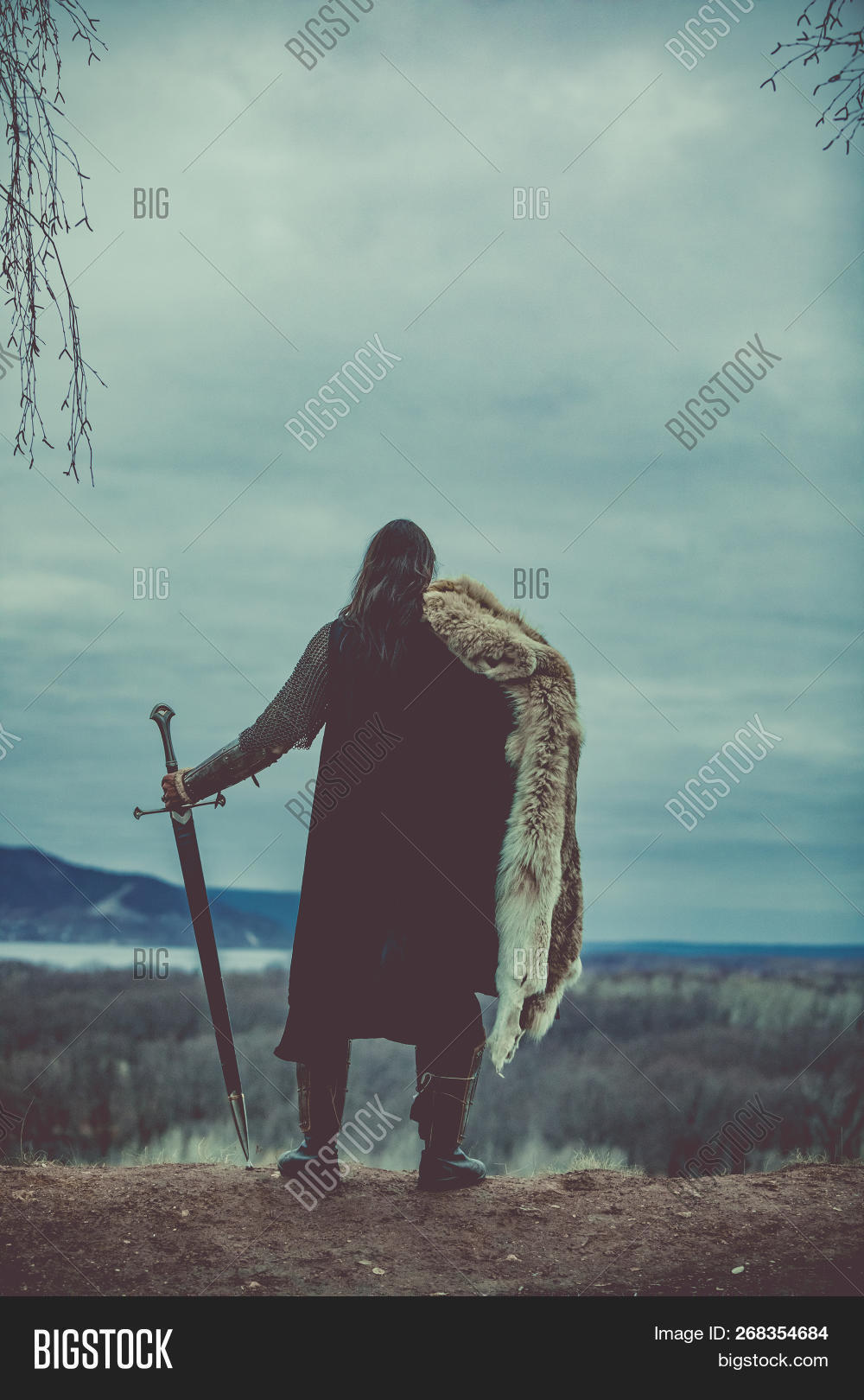 Long Haired Knight Two Image & Photo (Free Trial) | Bigstock