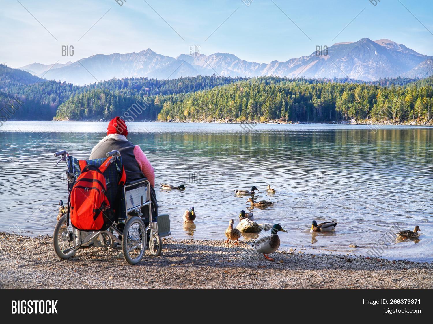 Disabled Handicapped Image & Photo (Free Trial) | Bigstock