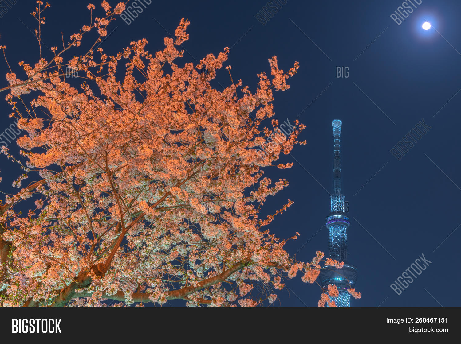 Tokyo, Japan - March Image & Photo (Free Trial) | Bigstock