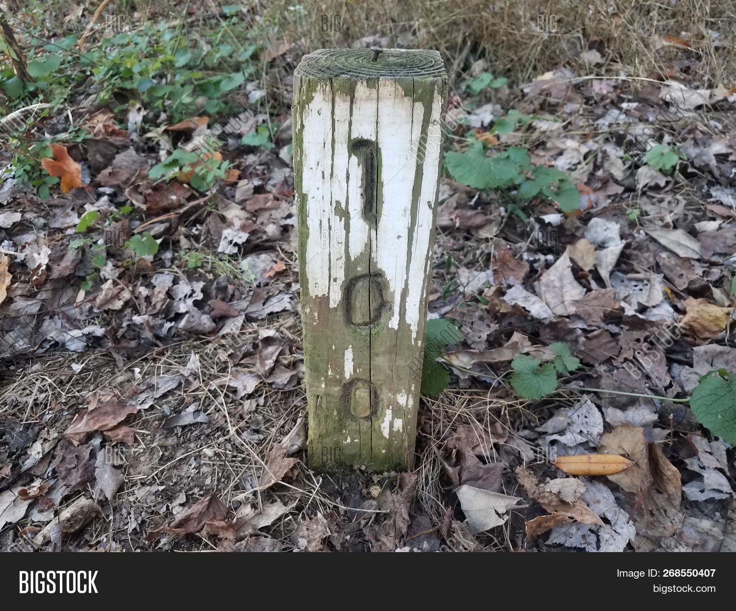 White Wood Stake Image & Photo (Free Trial) | Bigstock