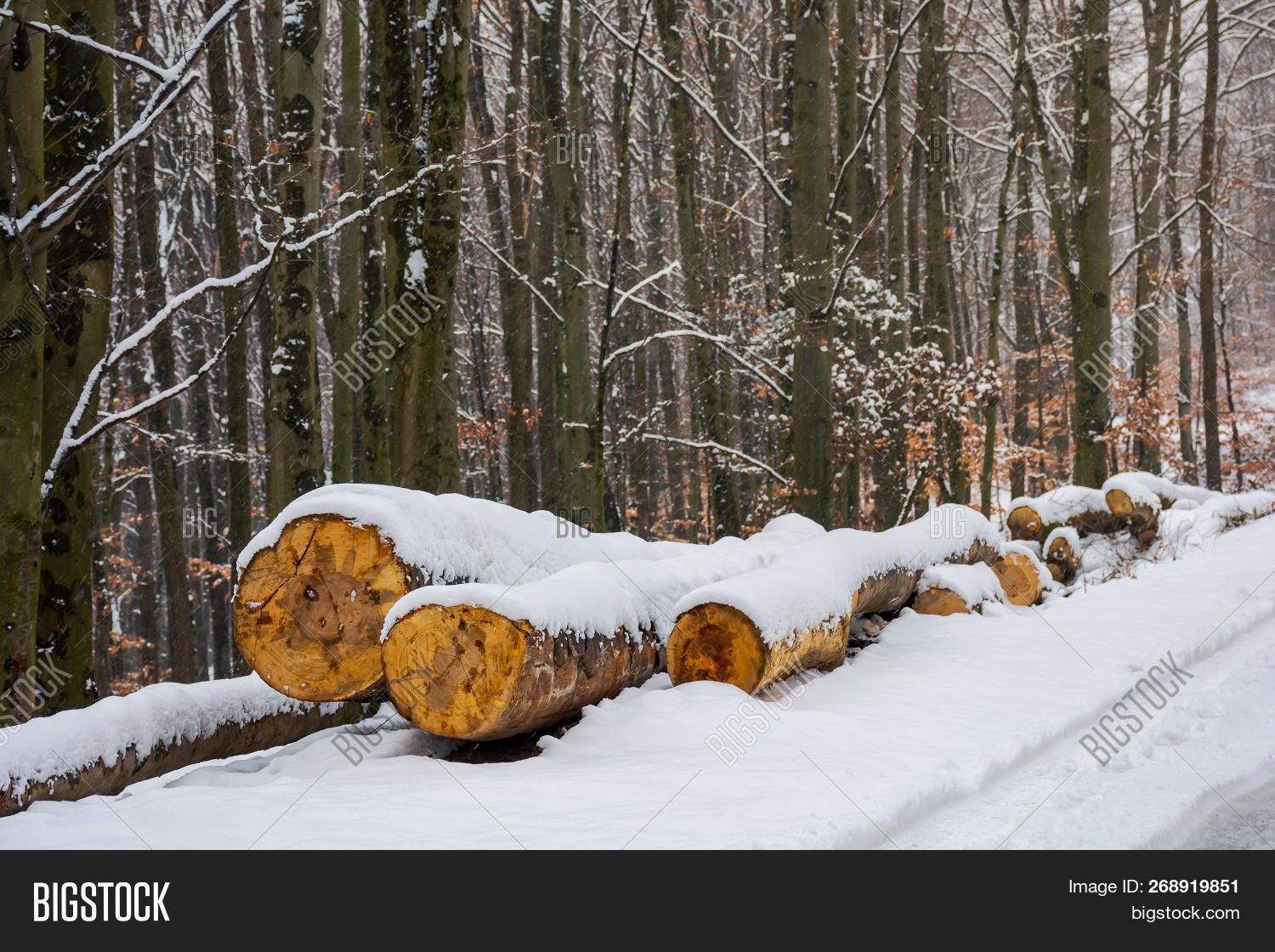 Wooden Logs Snow By Image & Photo (Free Trial) | Bigstock