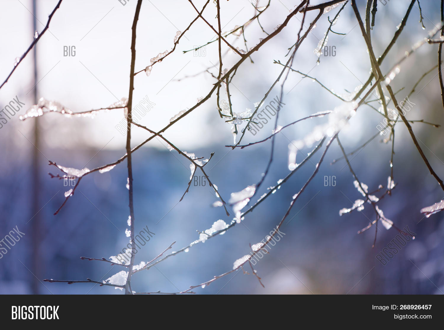 Blur Winter Background Image & Photo (Free Trial) | Bigstock
