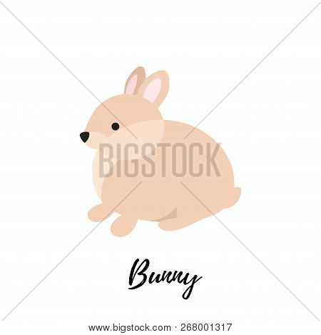 Cute Bunny Isolated. Vector & Photo (Free Trial) | Bigstock