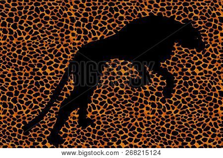 Ocelot Images, Illustrations & Vectors (Free) - Bigstock