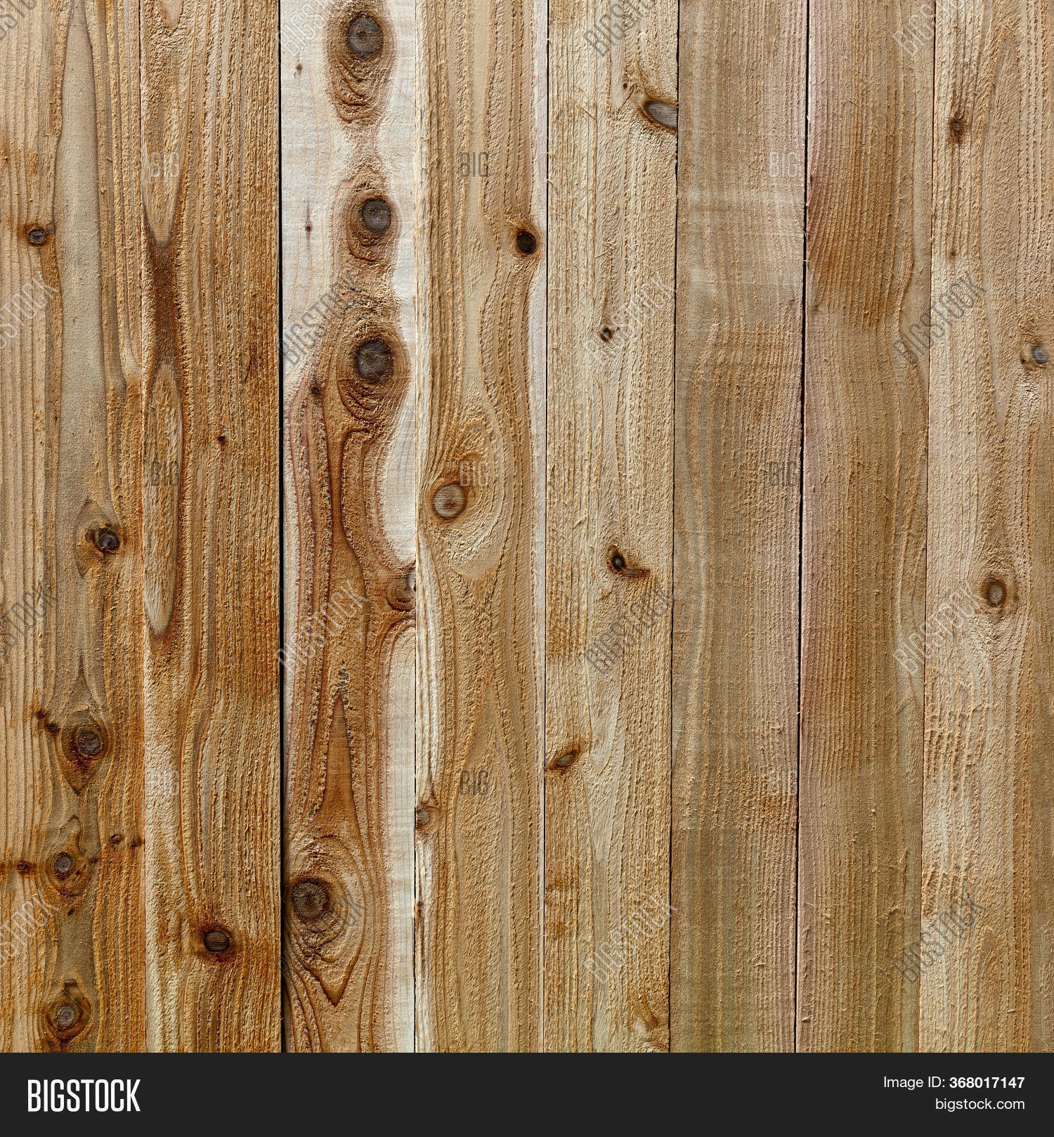 Natural Cedar Wood Image & Photo (Free Trial) | Bigstock