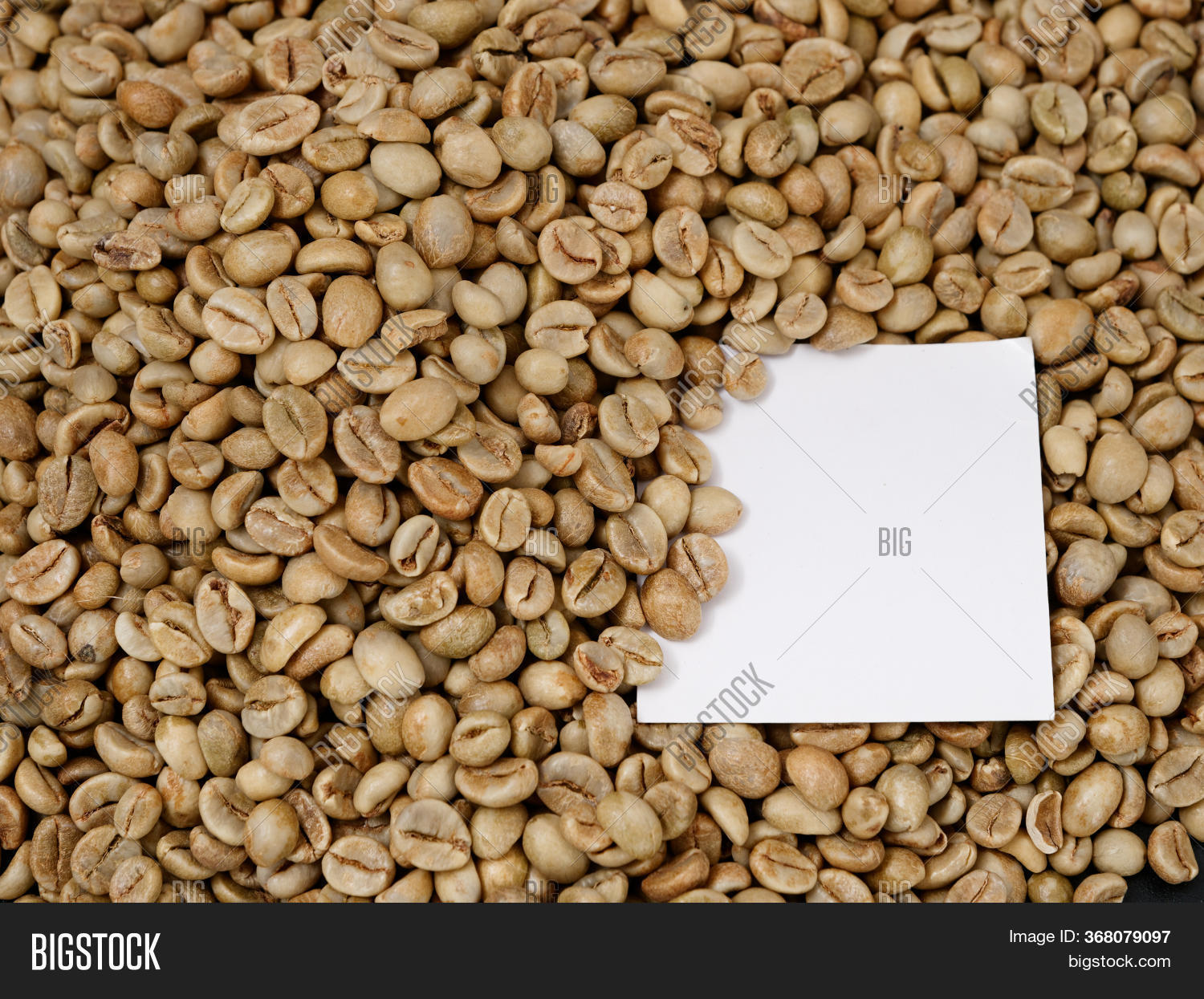 Raw Not Roasted Coffee Image & Photo (Free Trial) | Bigstock