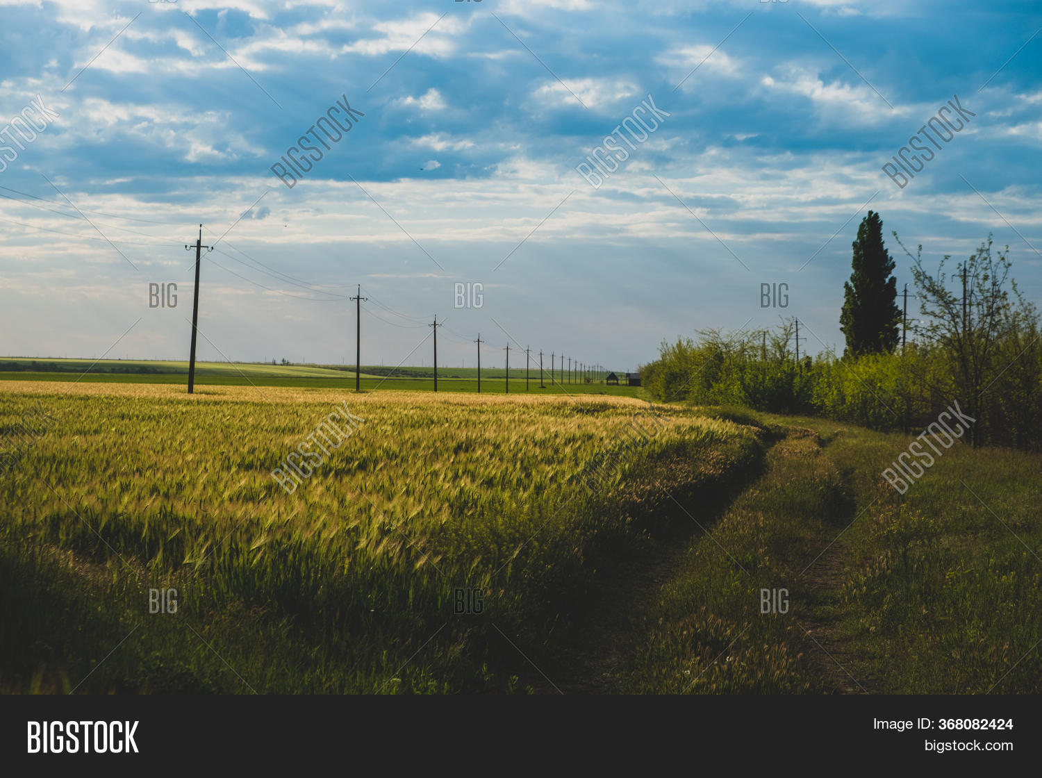 Rural Landscape Road. Image & Photo (Free Trial) | Bigstock