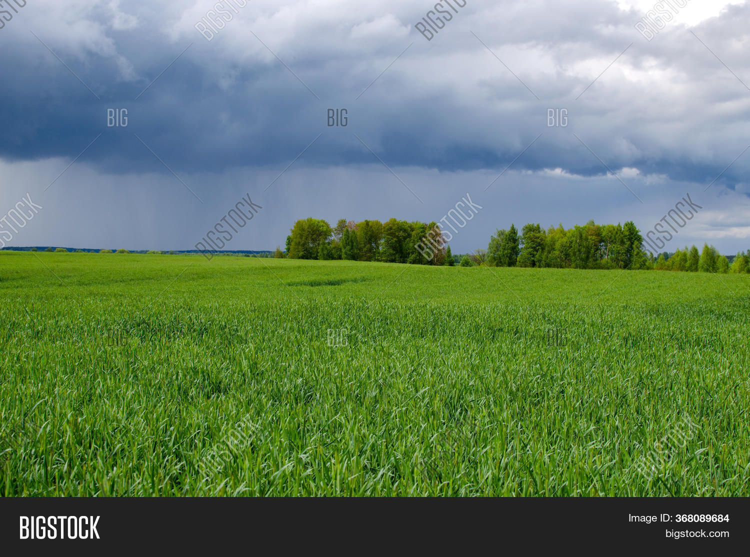 Spring Rain. Rain Over Image & Photo (Free Trial) | Bigstock