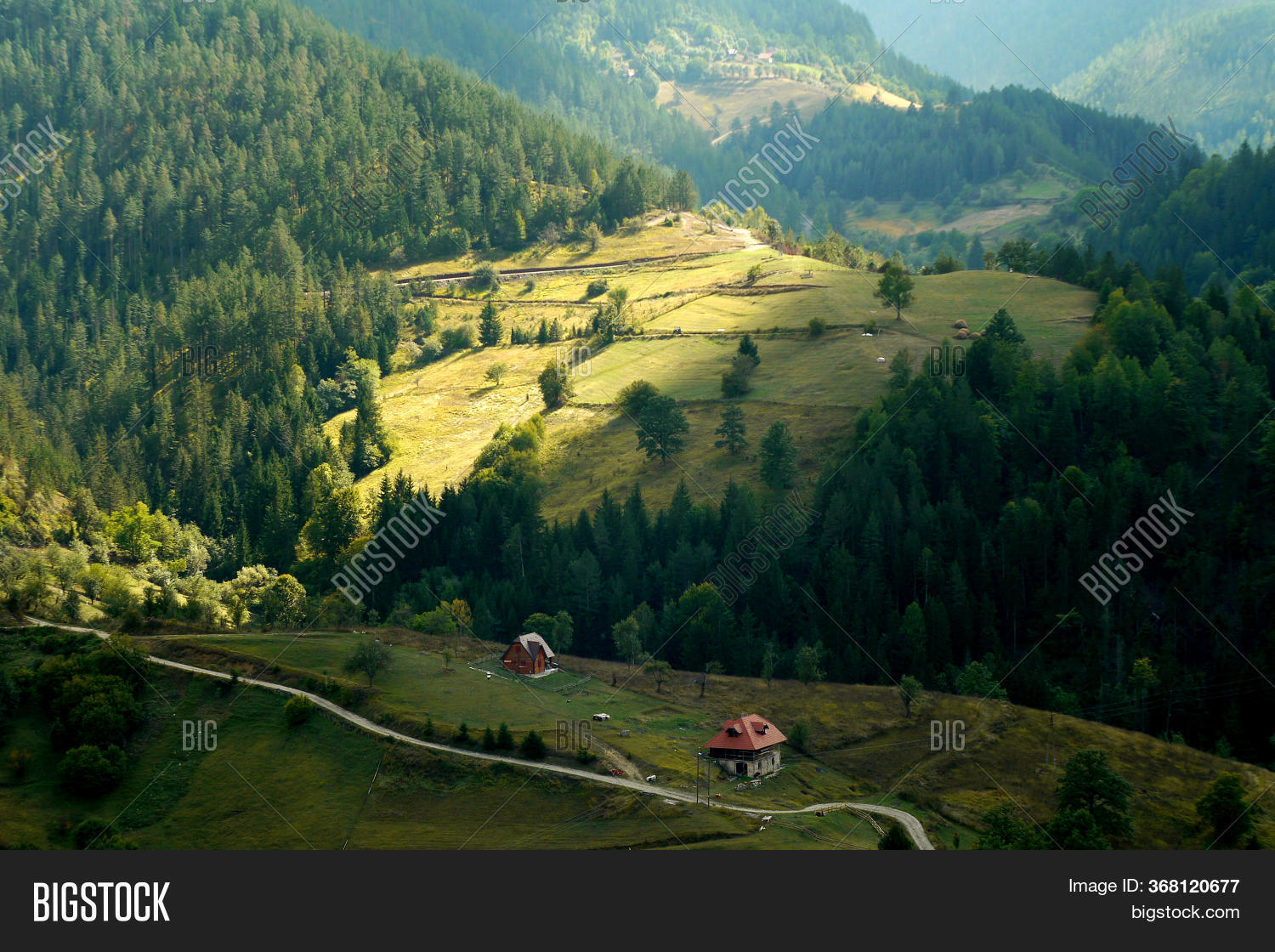 Zaovine Lake, Tara Image & Photo (Free Trial) | Bigstock