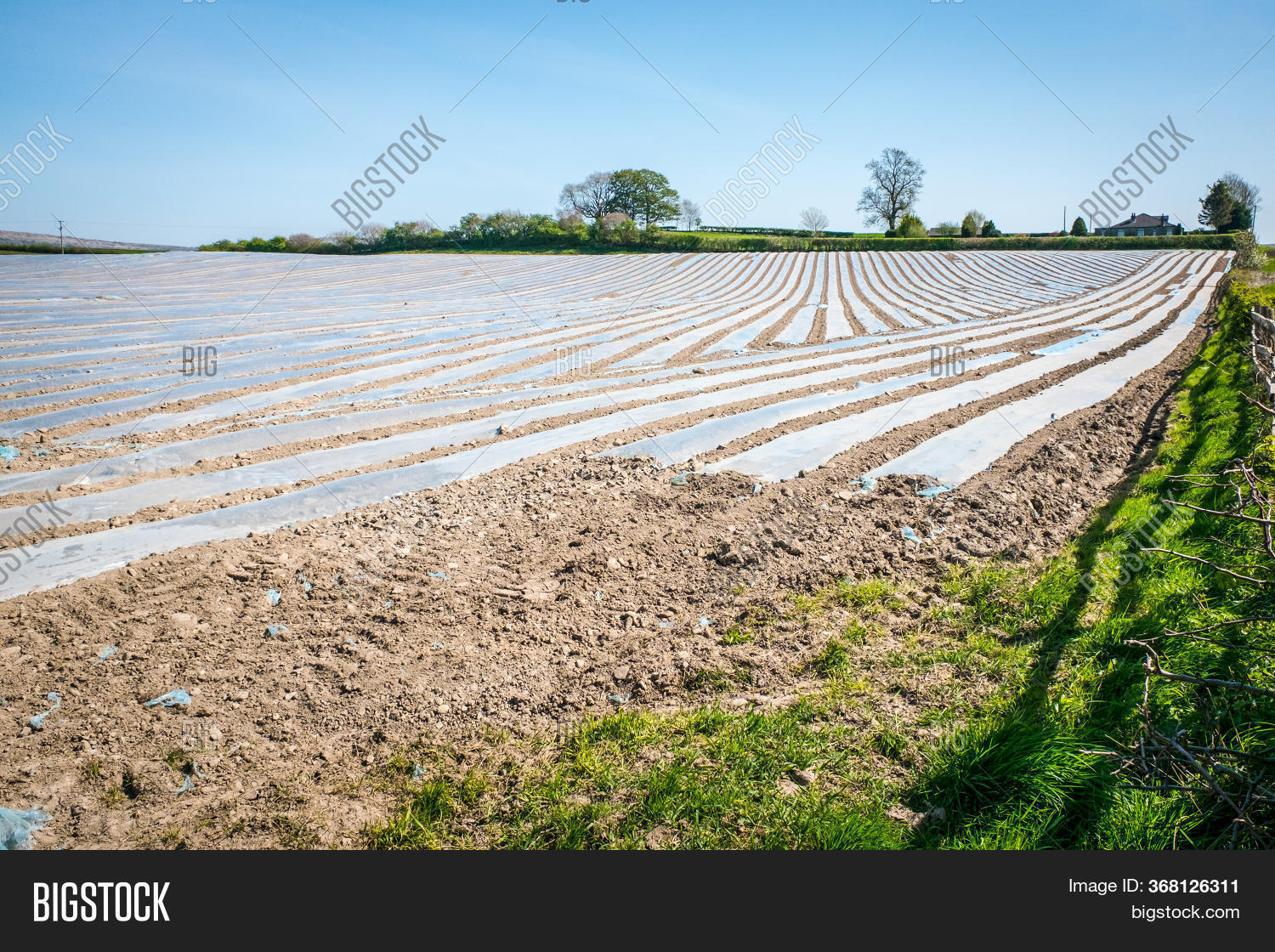 Bio Farming On Image & Photo (Free Trial) | Bigstock