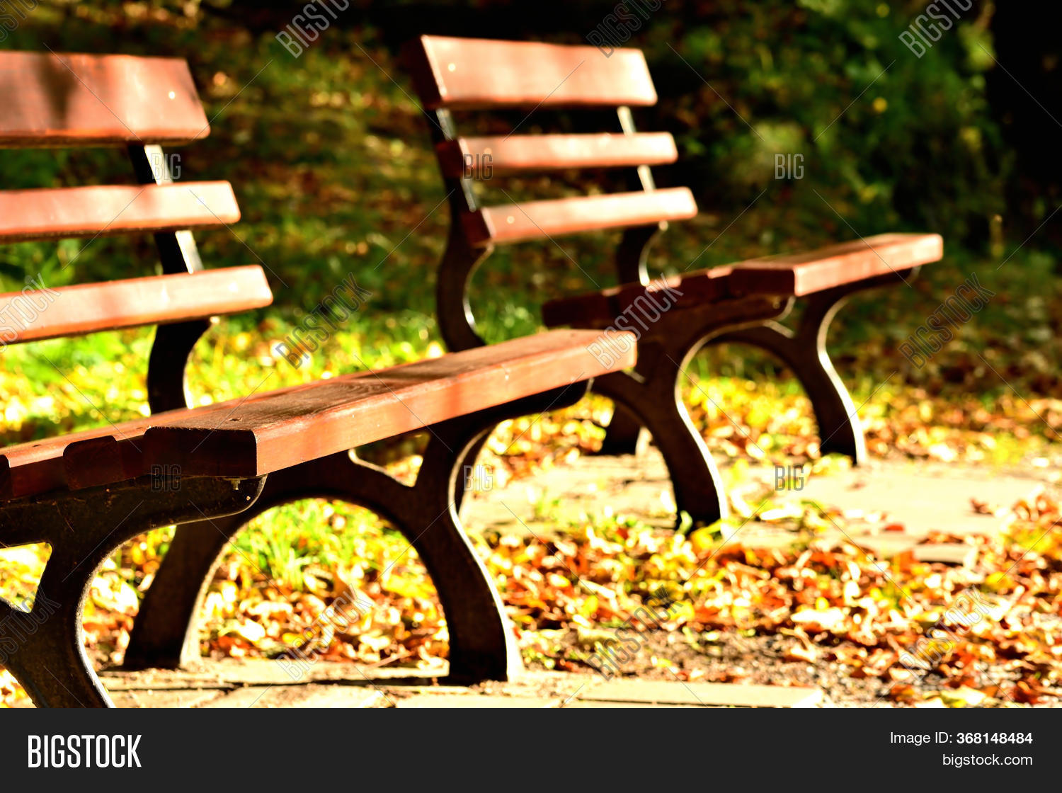 Two Benches On Walking Image & Photo (Free Trial) | Bigstock