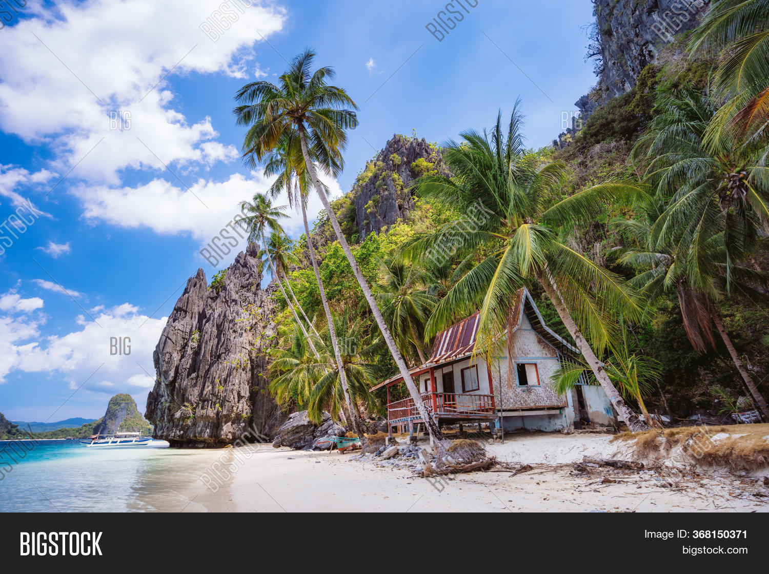 Palm Trees Huts