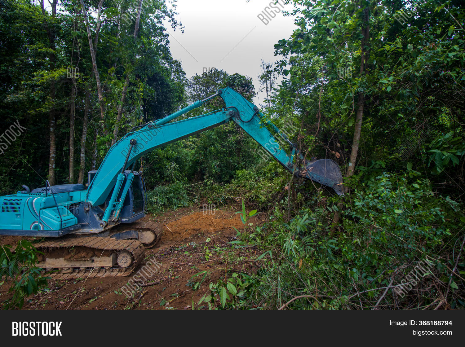 Deforestation. Logging Image & Photo (Free Trial) | Bigstock