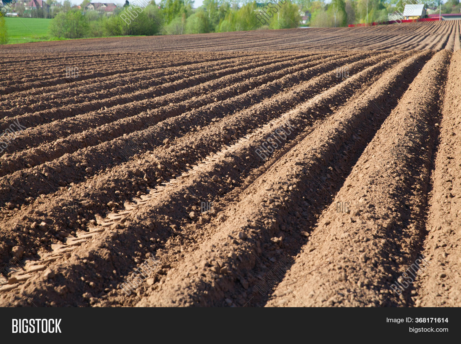 Colours Spring - Image & Photo (Free Trial) | Bigstock