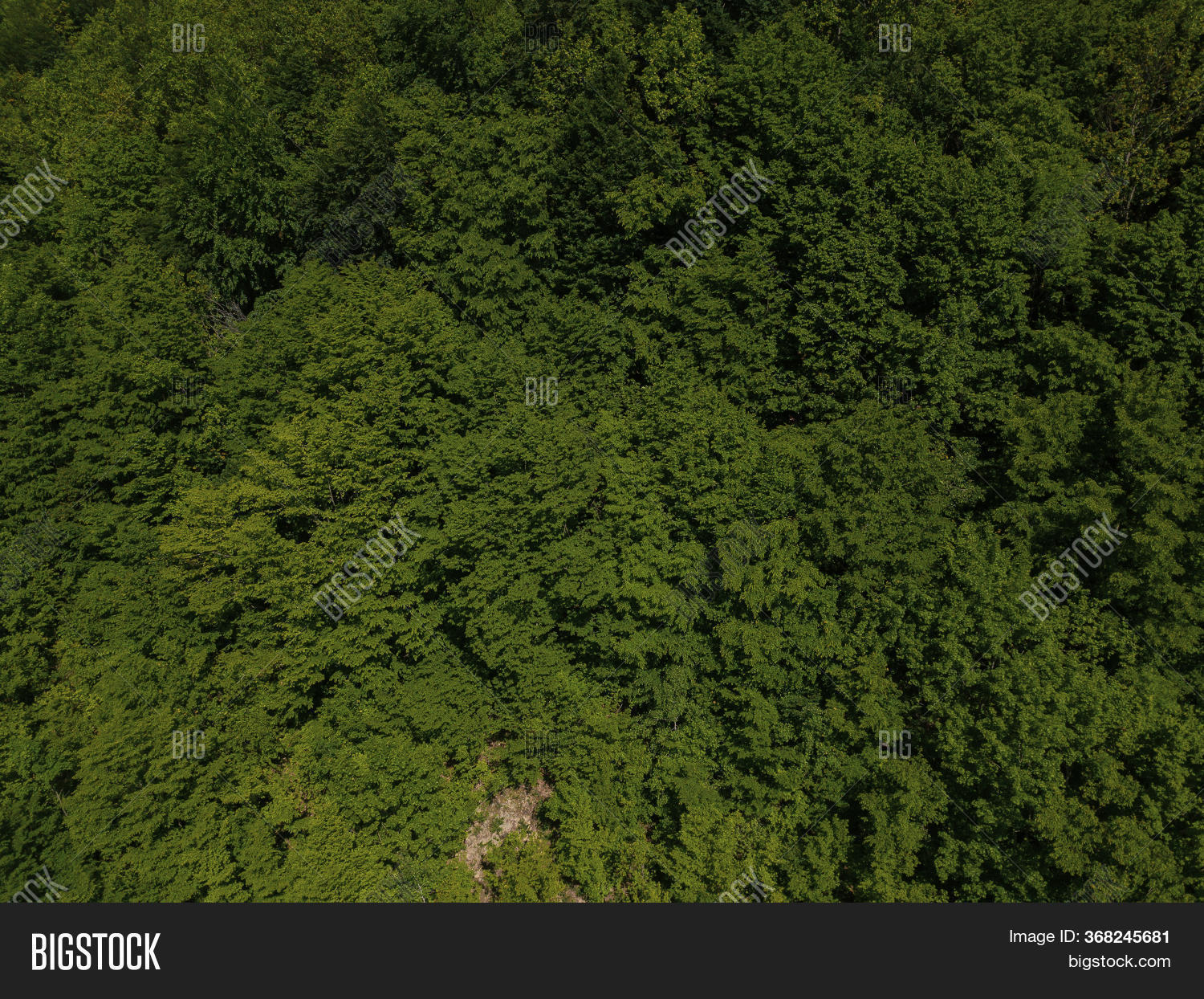 Aerial Top View Forest Image & Photo (Free Trial) | Bigstock
