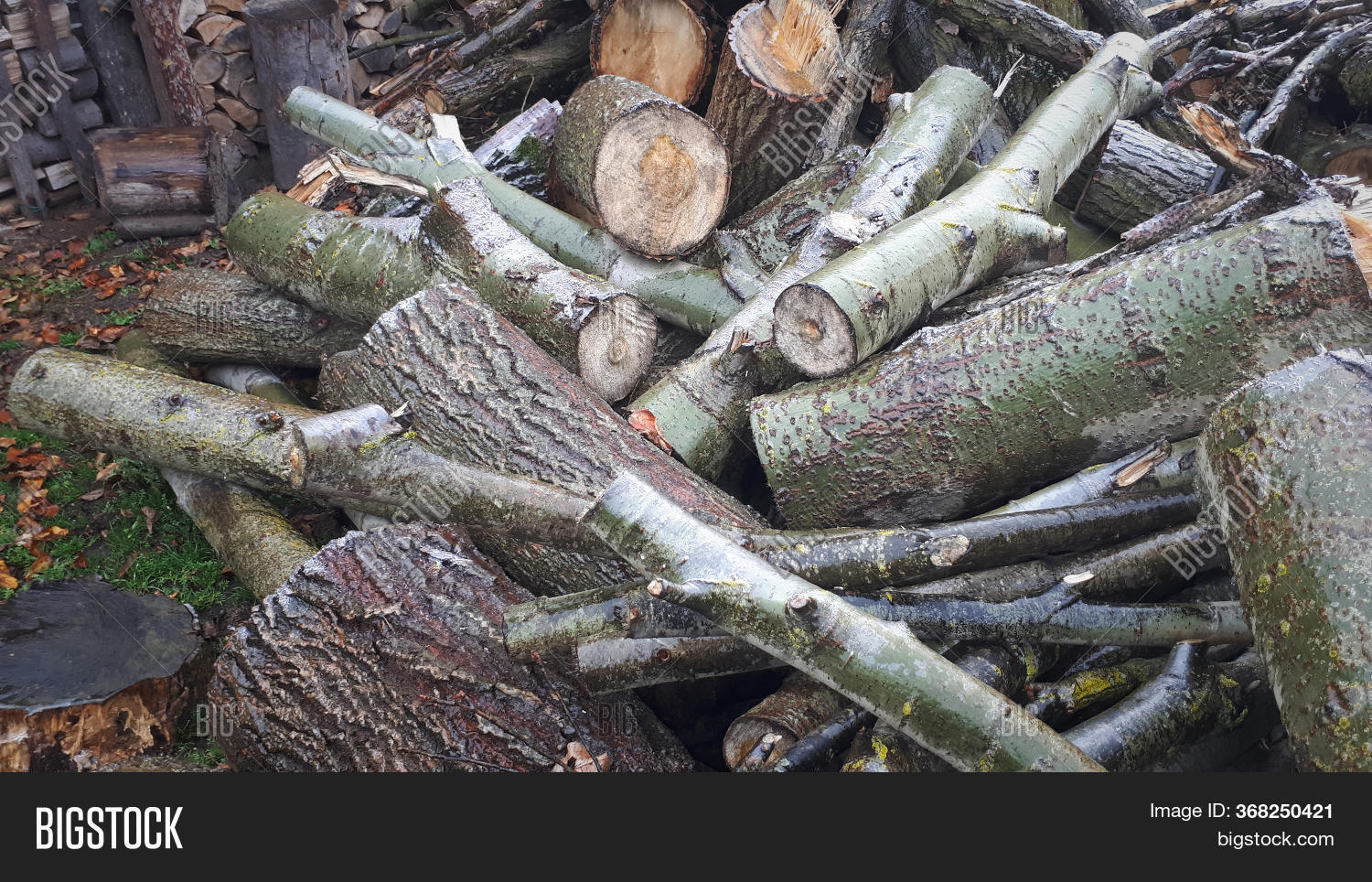 Wooden Logs Pine Woods Image & Photo (Free Trial) | Bigstock